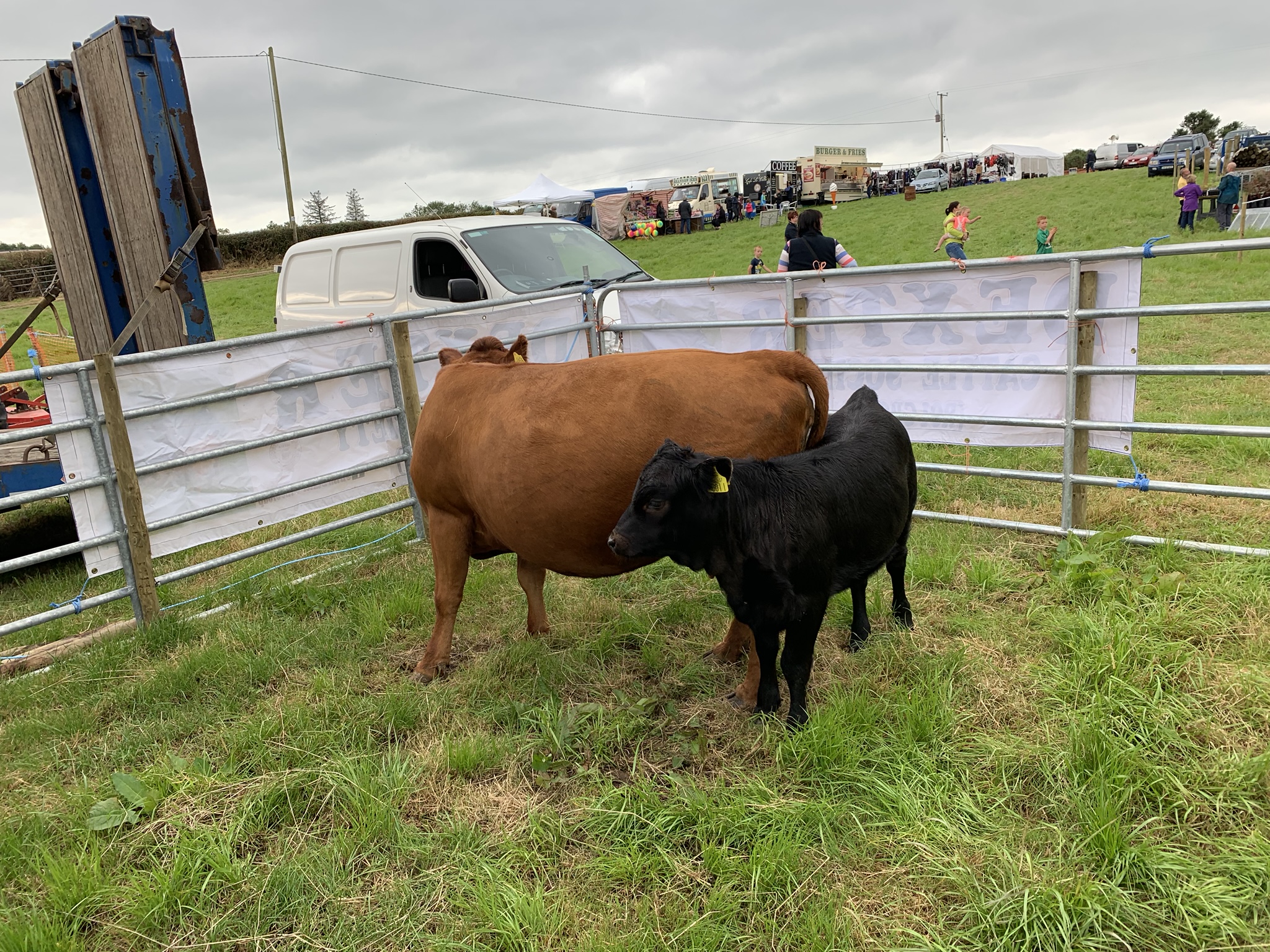 Kildysart Show Results 2019 | Parish of Kildysart